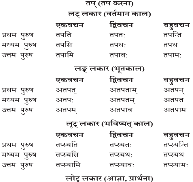 तप् धातु के रूप संस्कृत में – Tap Dhatu Roop In Sanskrit | HindiVyakran