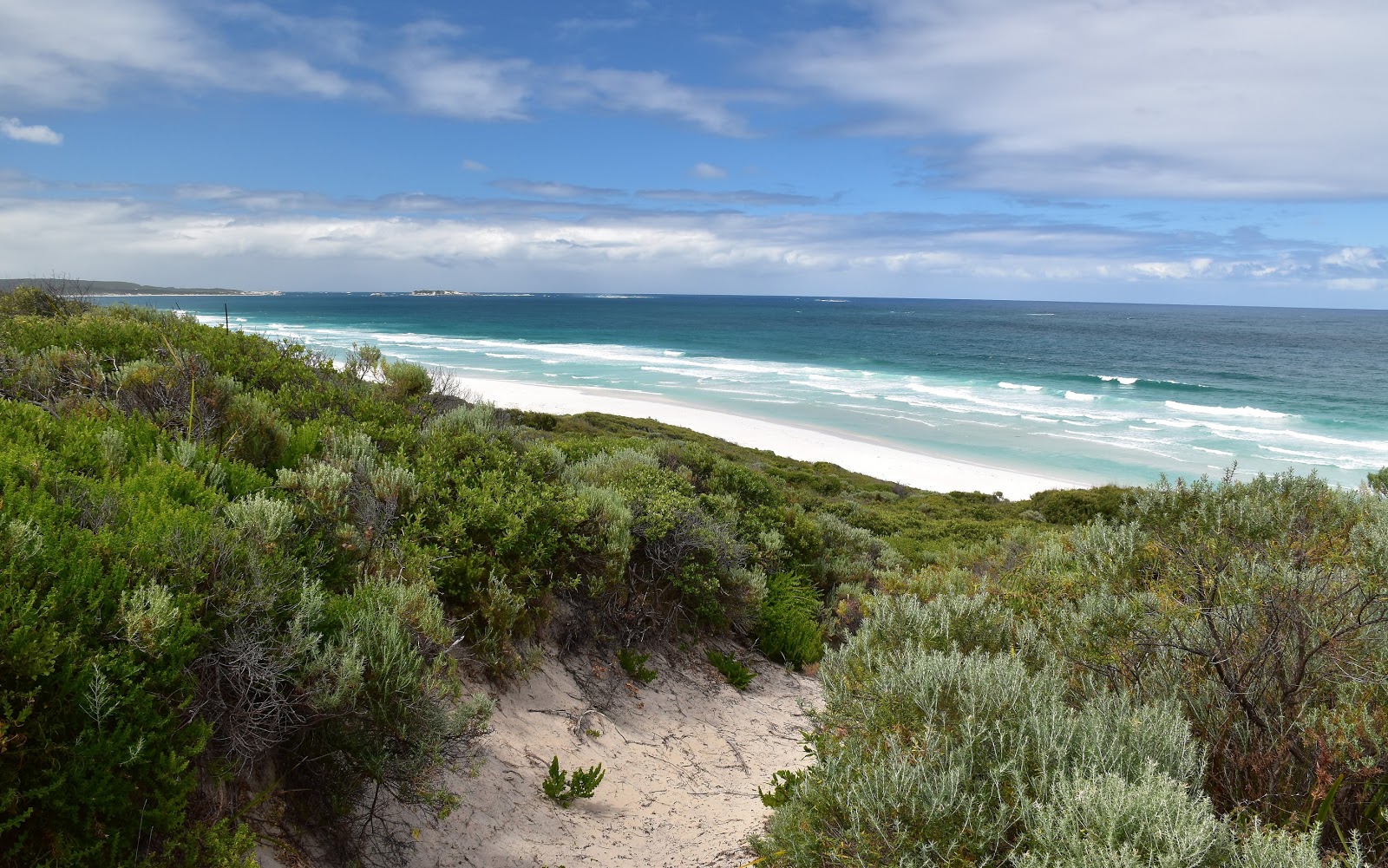 Goin' Feral One Day At A Time: Point Road Campground to Deepdene ...