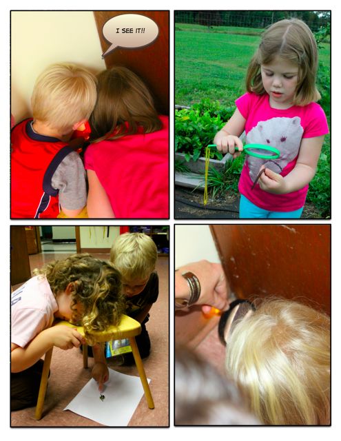 Preschool and Kindergarten: Science Investigation