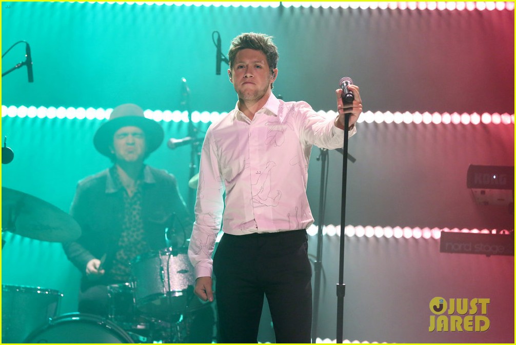 Viciadas por One Direction: Niall Horan é o destaque do programa do ...