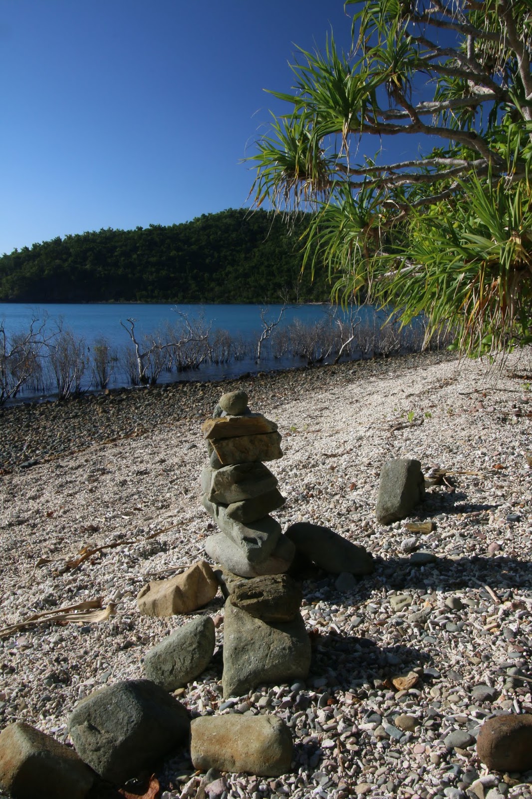 OurTripDreaming: Swamp Bay and Mt Rooper, Conway National Park