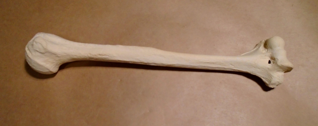 oase gips: Oase din gips