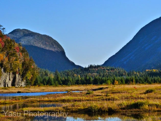 Still Alive In The Mohawk Valley, NY: The Enchanting Skylight Mountain ...