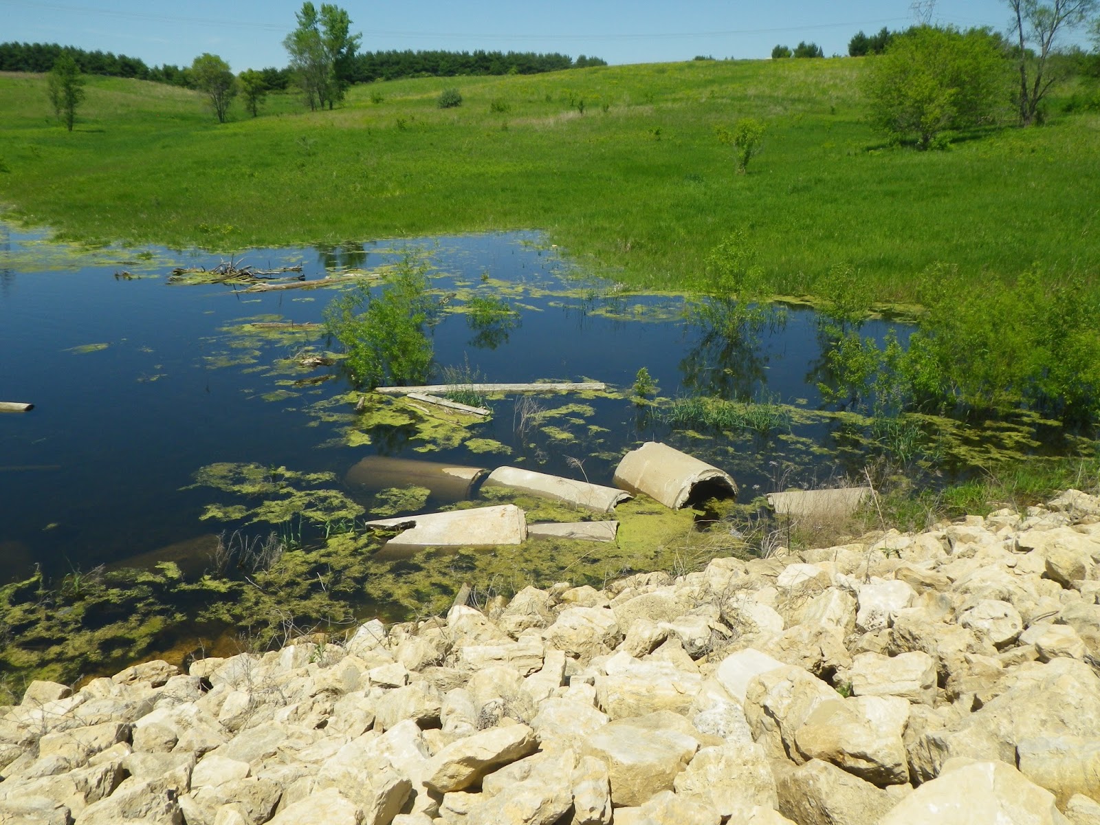 The Lost Grove Lake Mapping Project: It's Getting Closer To Full