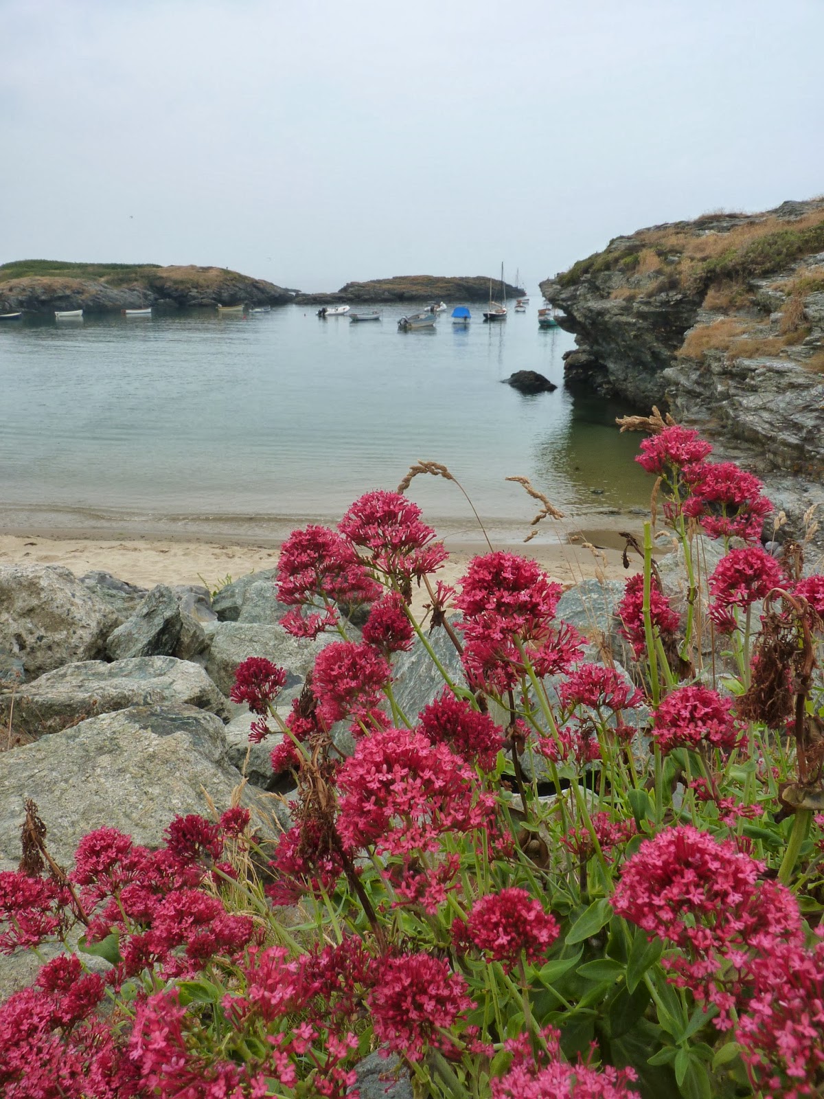 Anglesey Coastal Path: Day 9 - Trearddur Bay to Rhosneigr