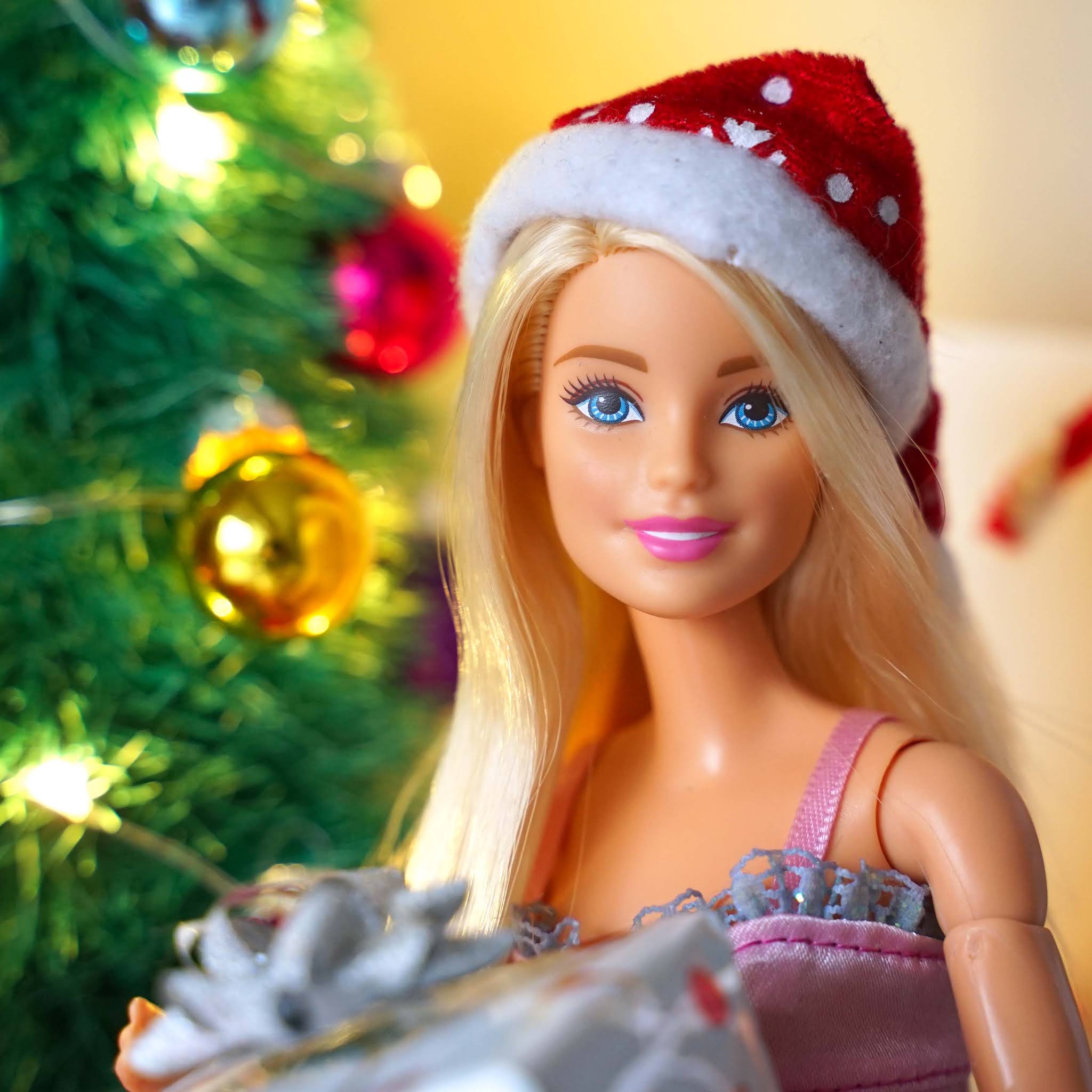 World of Barbie / Charlie Prince