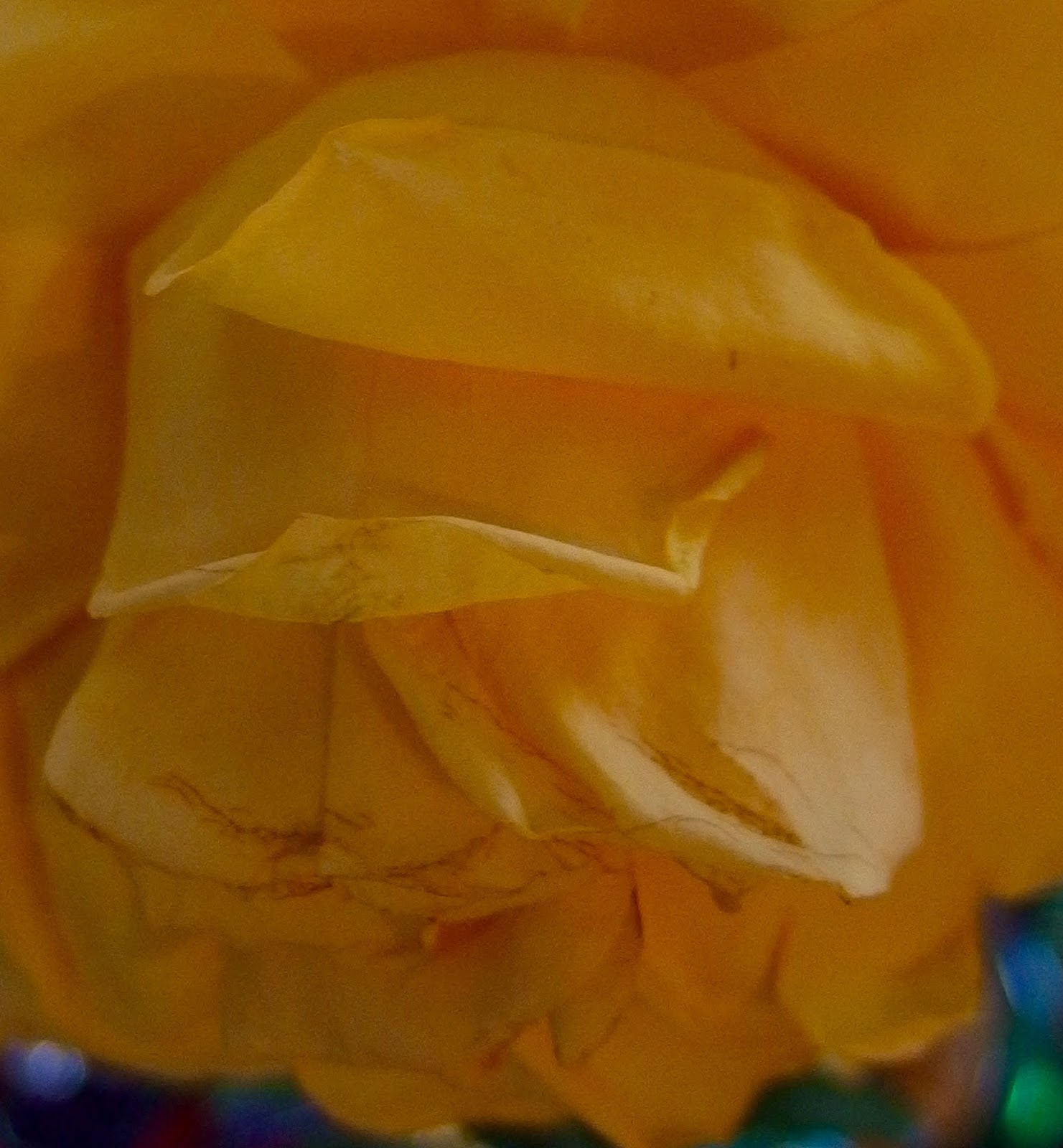 the golden fish: slow decay