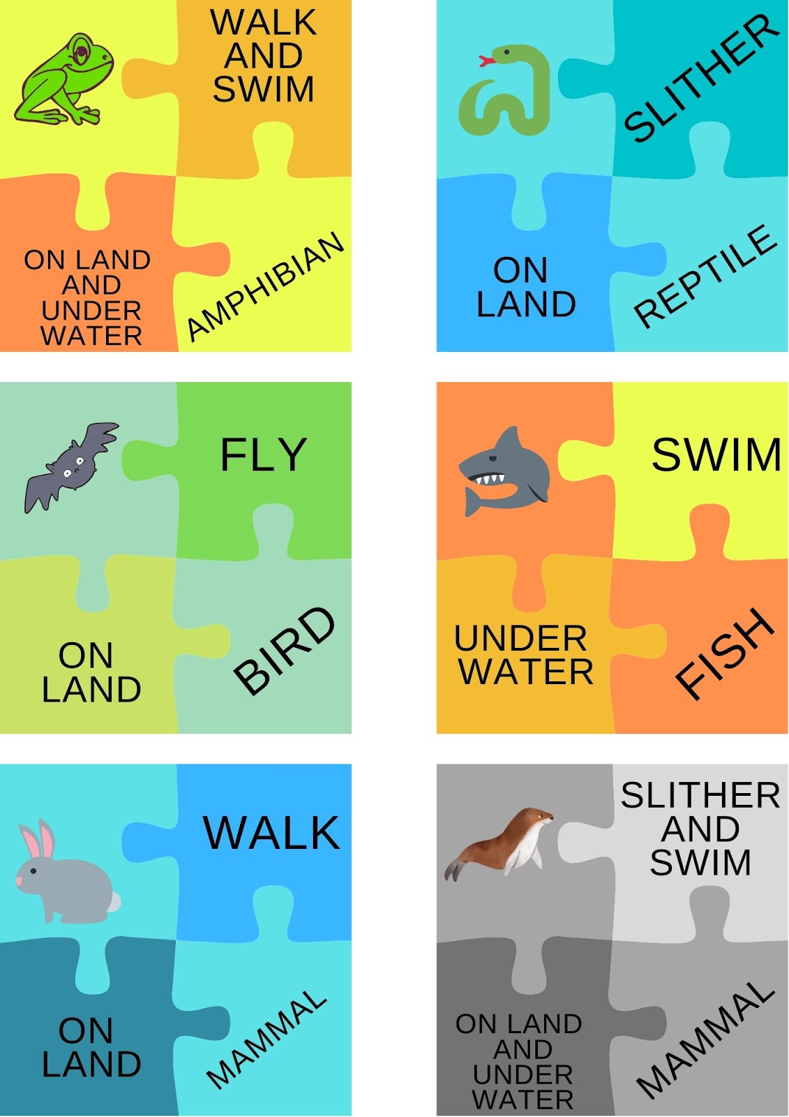 The Magic English Corner: SCIENCE: Unit 3 Animals