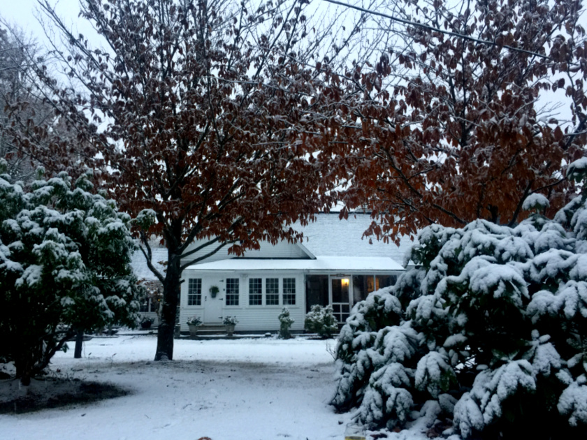 Tamera Beardsley: New England Thanksgiving