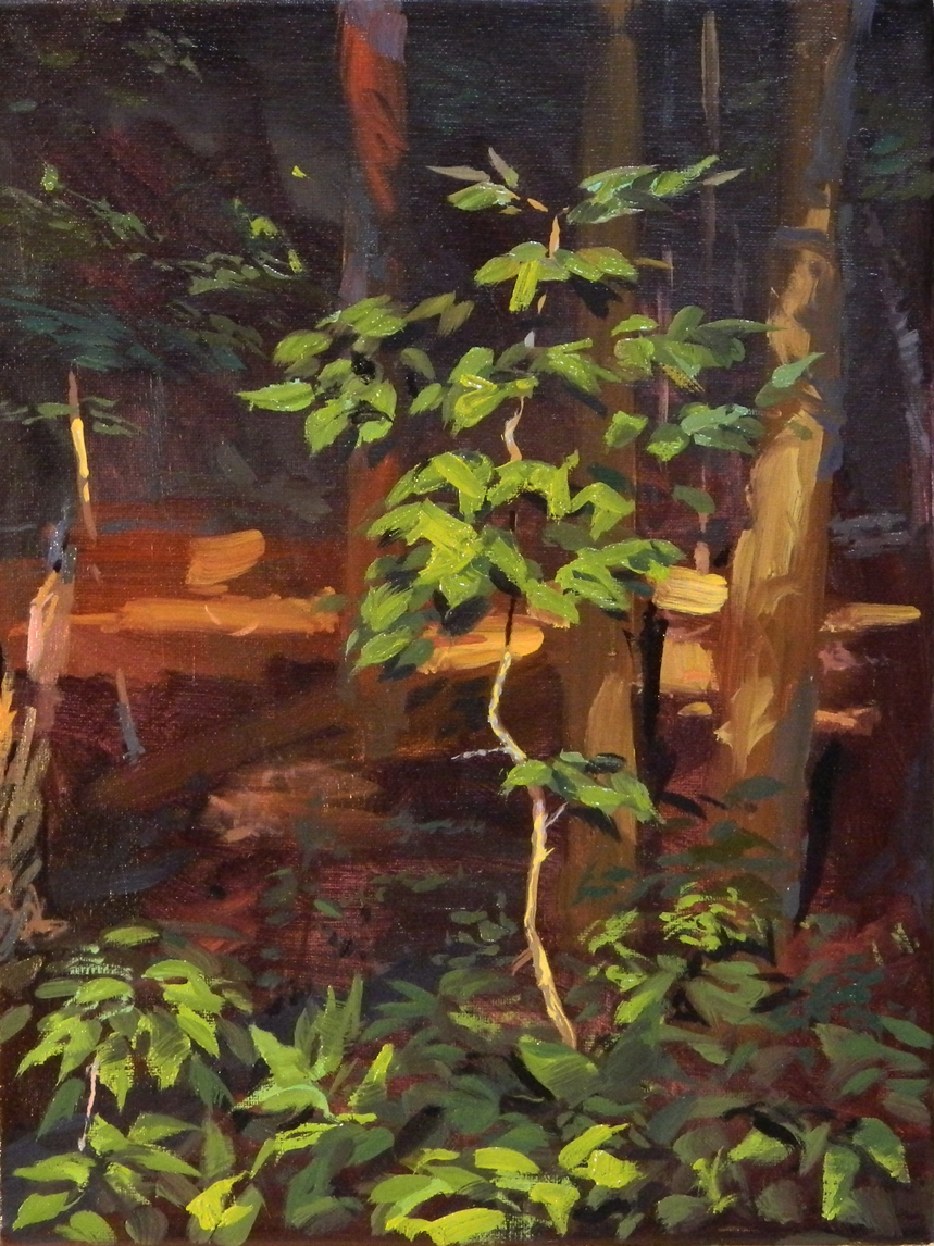 Christopher Greco: Catching The Morning Light - ©Christopher Greco