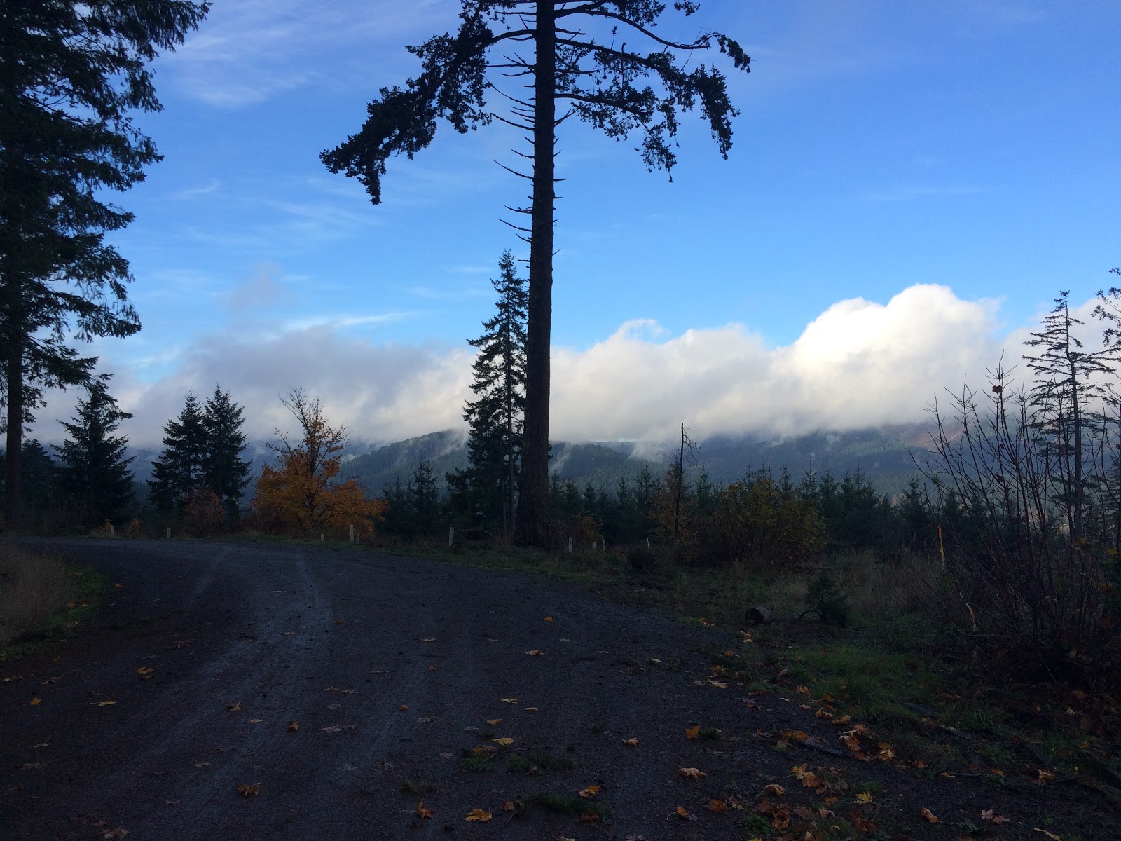 Running in Place.....and getting nowhere fast!: Not Easier but I'm Stronger