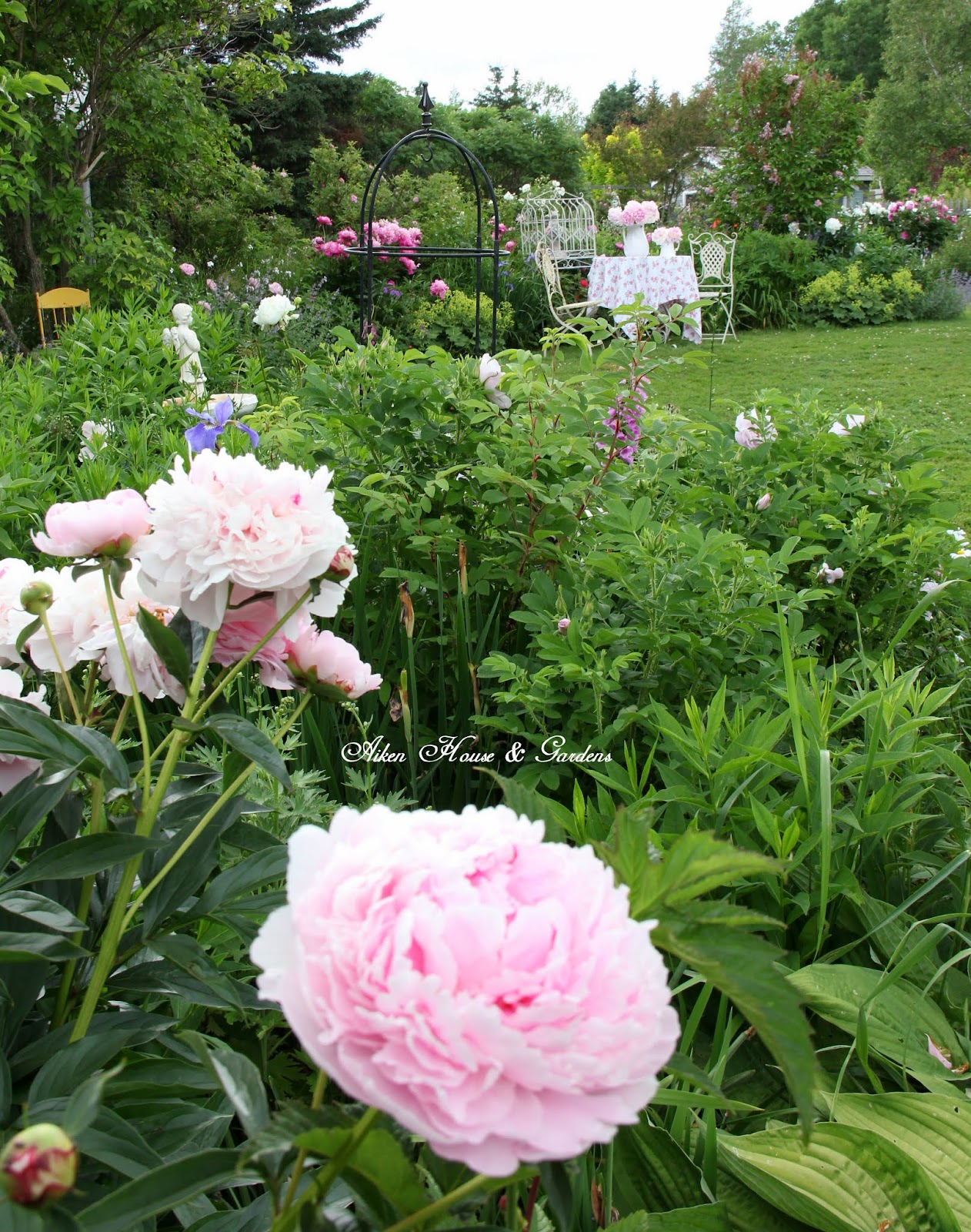 Aiken House & Gardens: Peonies in the Garden