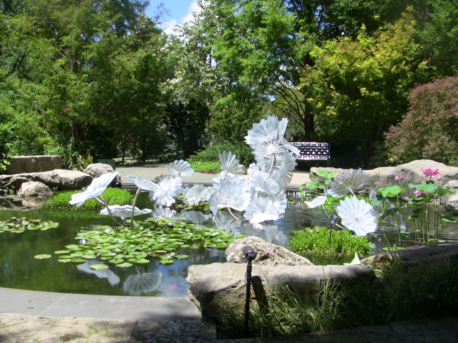 Apt Garden: Visit to Dallas Arboretum