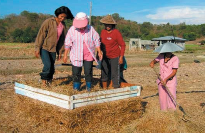 Technonology Guide for Rice Straw Composting with Urea