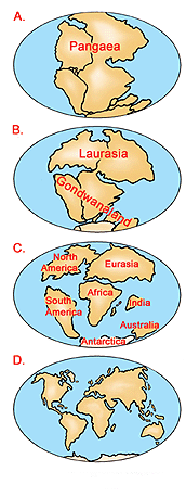 Aqua Green Blog: What Was Earth's Early History