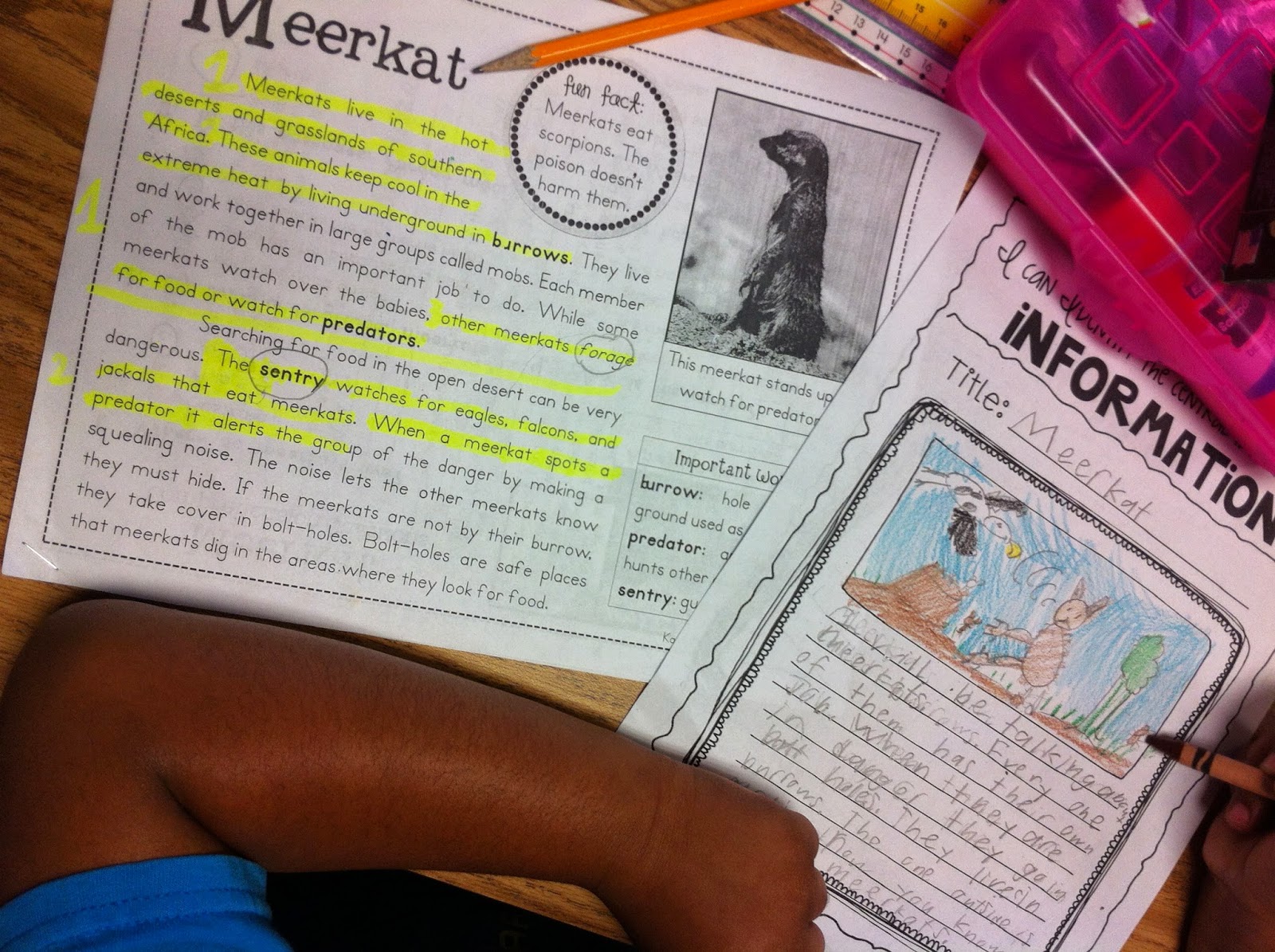Creativity to the Core: Annotation {Close Reading Mini-Series}