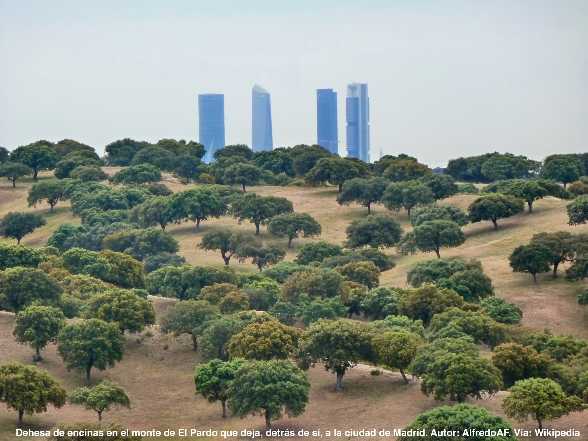 #10. Por qué Alcorcón se llama Alcorcón: 4 teorías