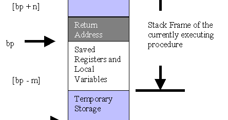 Software Testing Basics (Fuzz Testing)