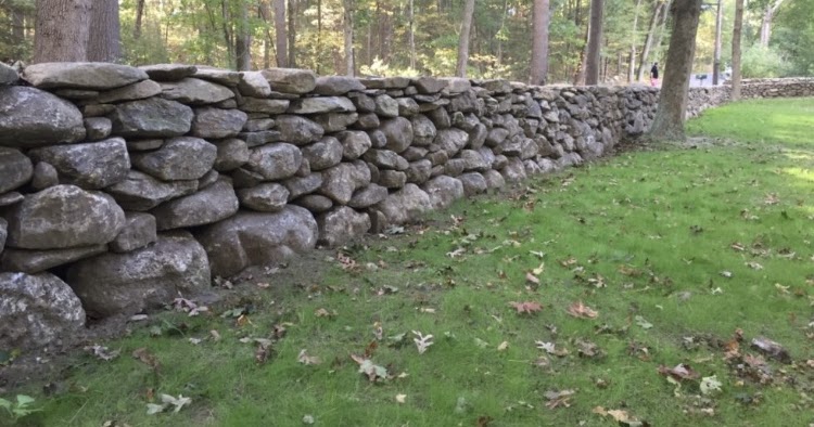 Between Two Trees: Stone Walls
