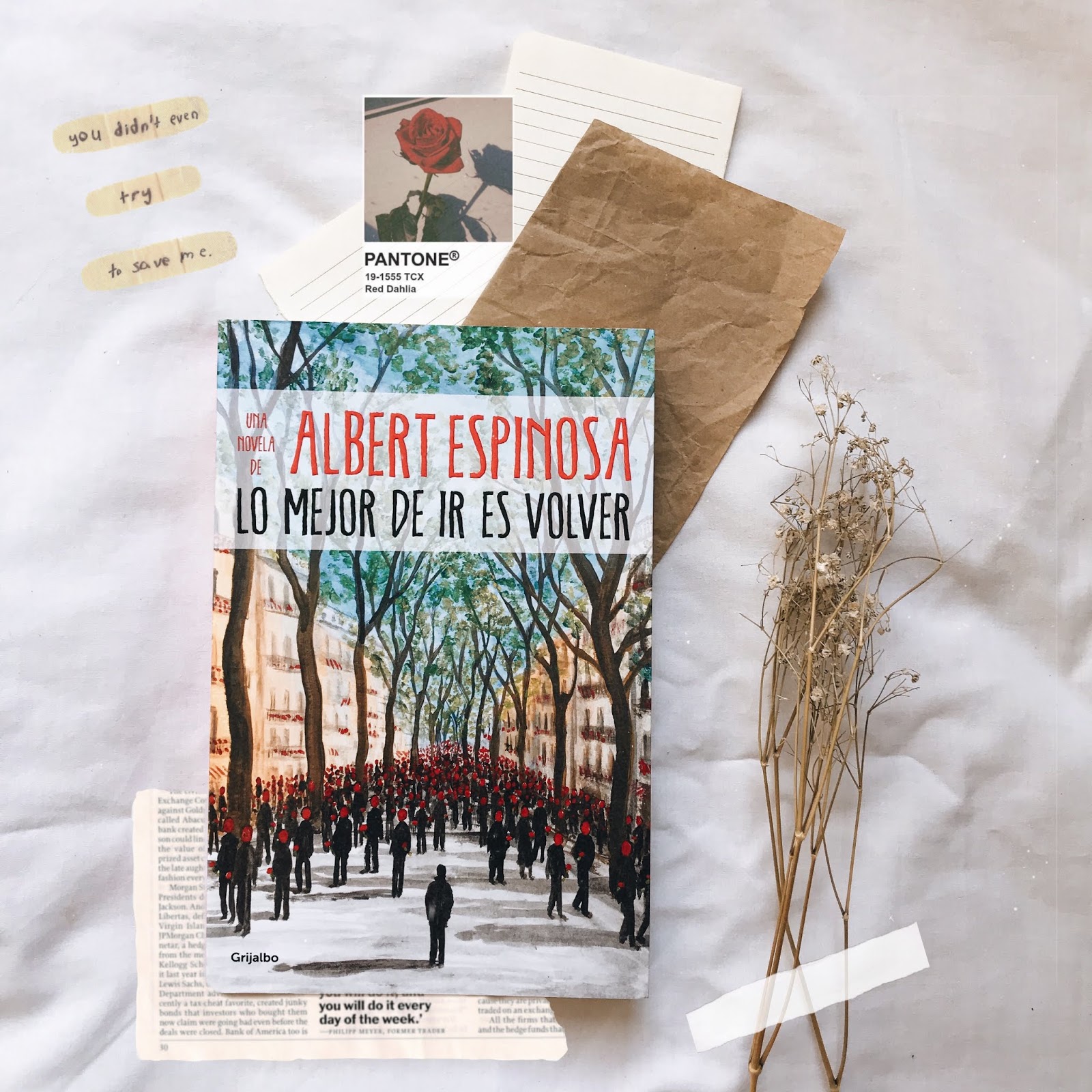 Diluvio de Letras: Reseña #243: Lo mejor de ir es volver