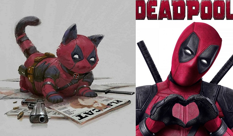 8 Gambar Kucing Superhero