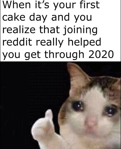 41 Memes Of The Best Trending Memes Vol.11