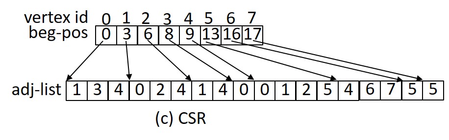 Memory and IO Lab: Graph Data Representation for Trillion Edge Graphs