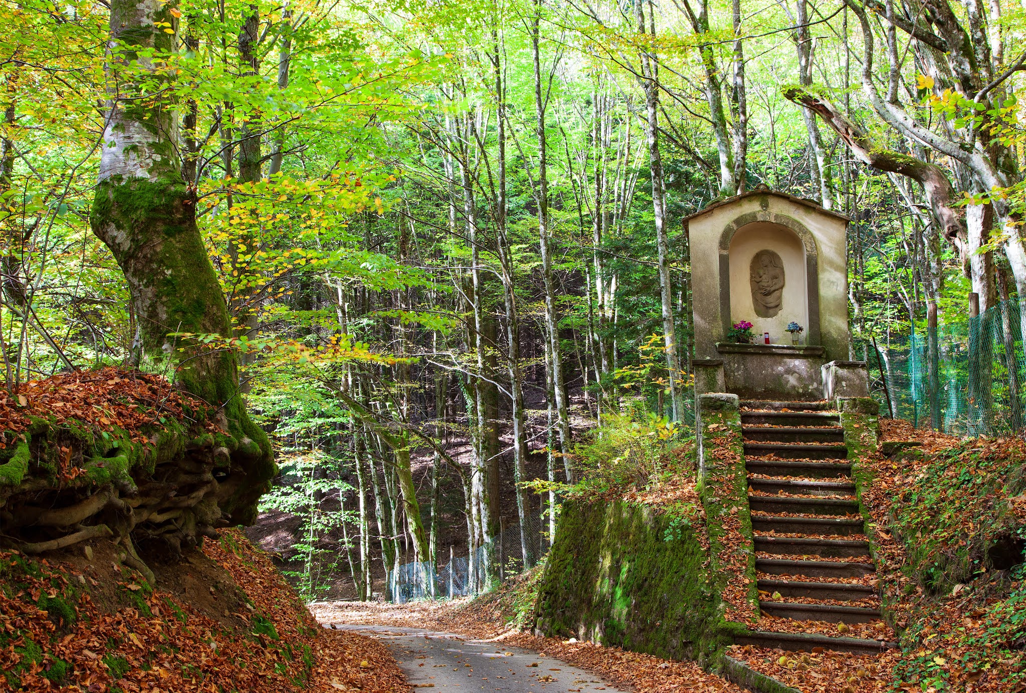 Terre Incognite: La Dea della Badia di Montepiano