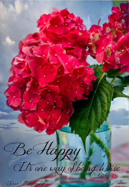 S Furner Fine Art : When RED is HOT