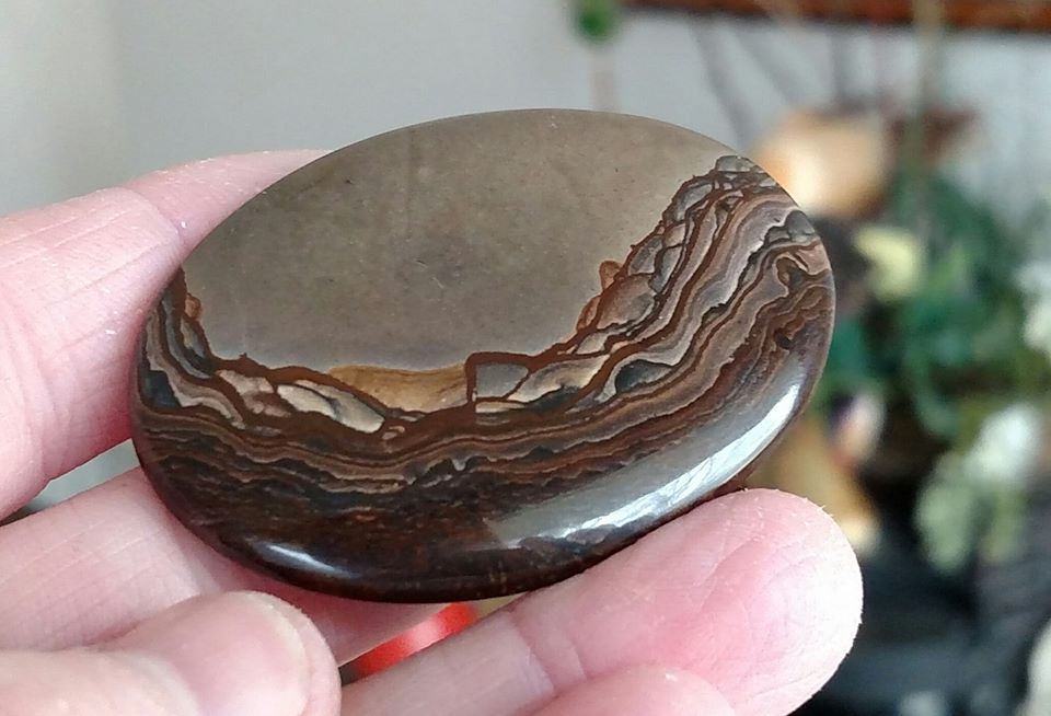 Biggs Jasper How to Guide