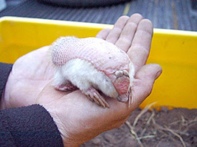 BIODIVERSIDAD TERRITORIAL