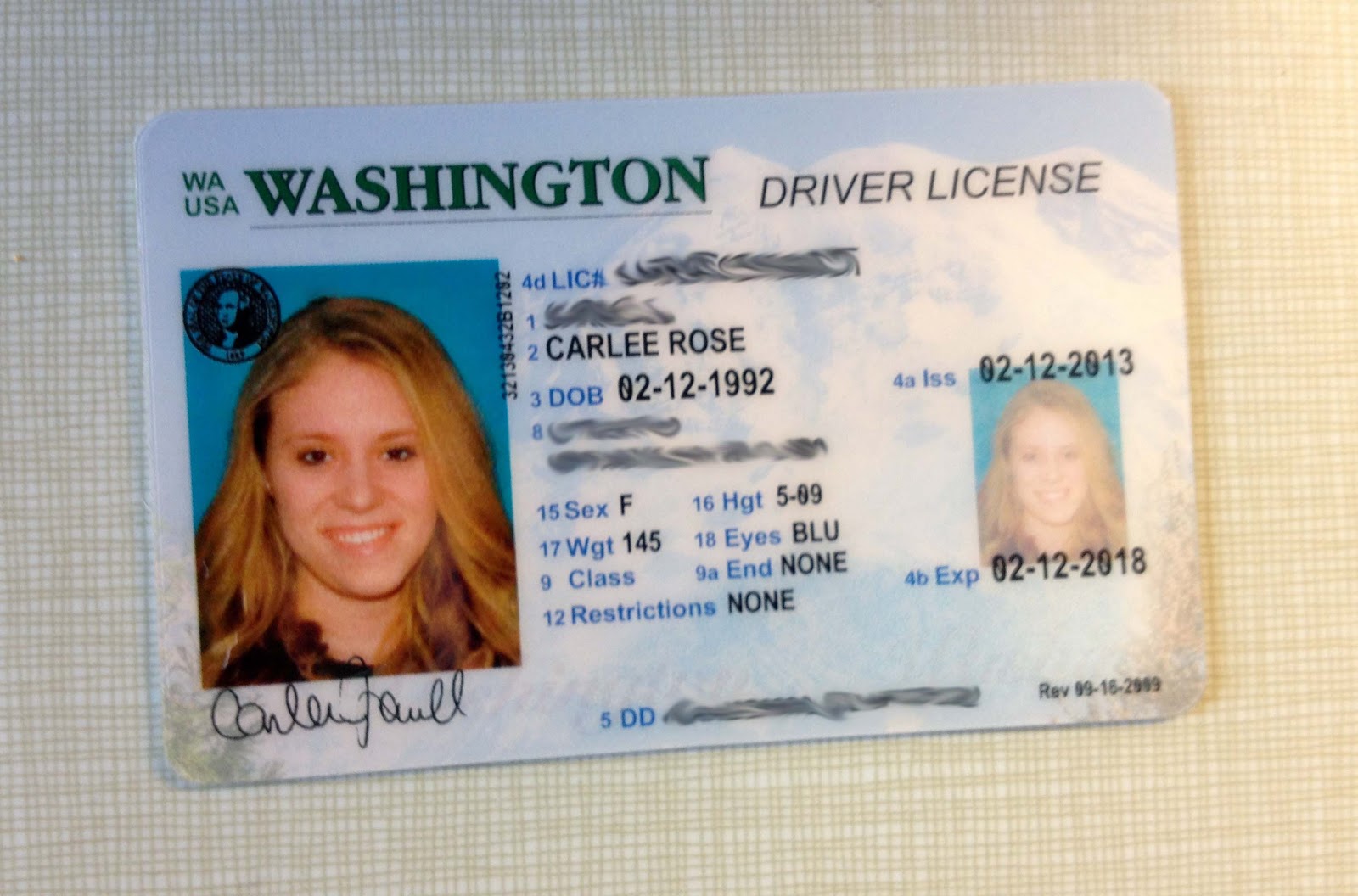 Little Sloth: goofy, horizontal, state