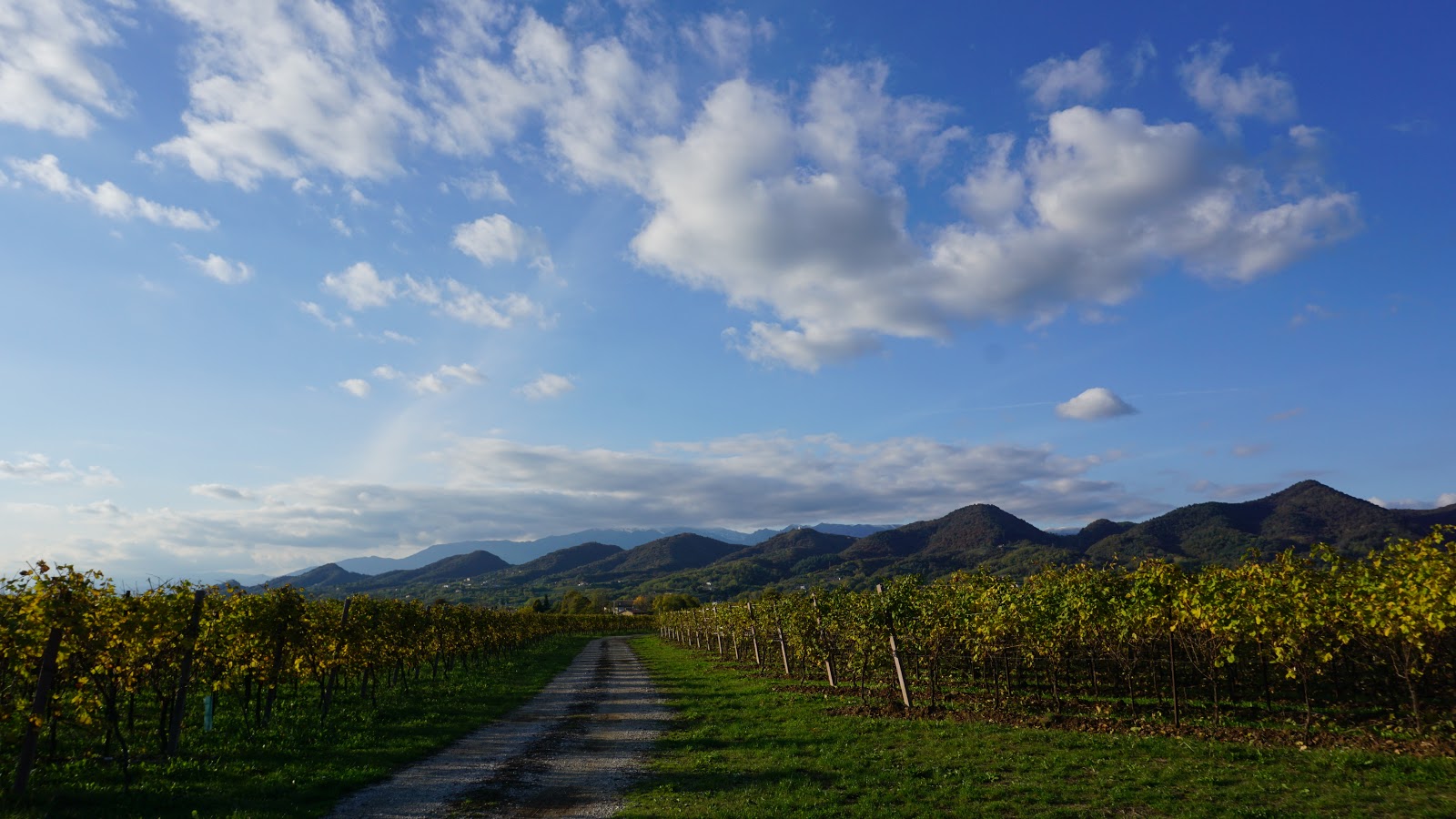 Gruppo Amici della Montagna di Maser: 2019 Gruppo Amici della Montagna di Maser: 2019