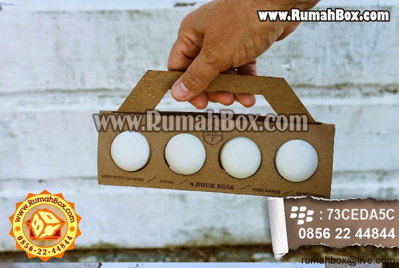 Kemasan Telur Unik ~ Rumah Box