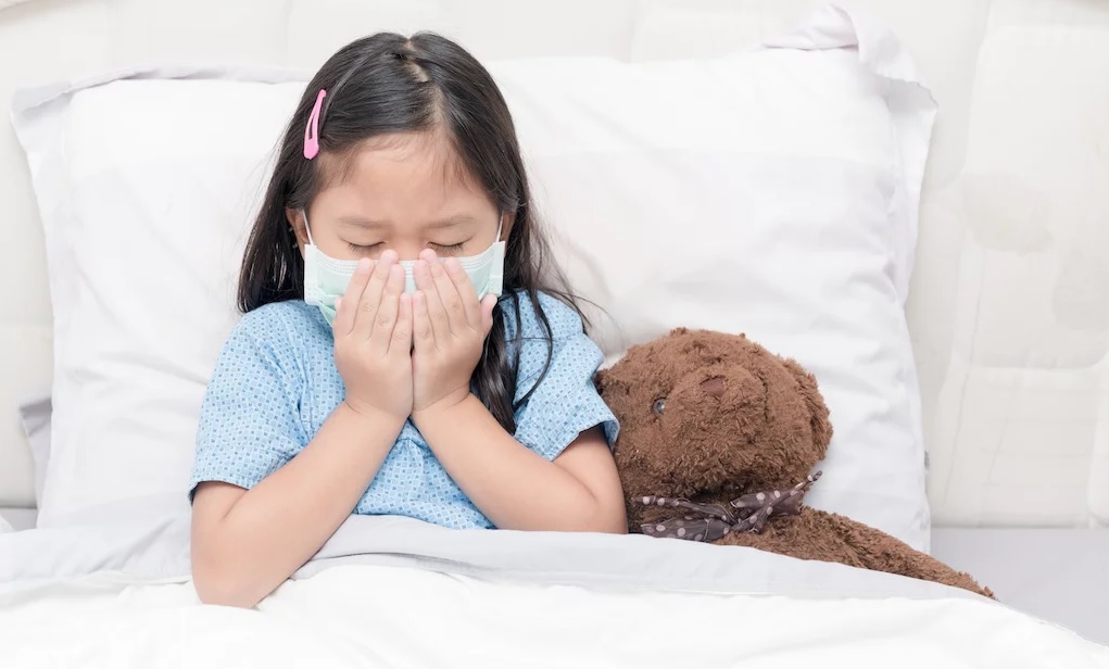 Ini Dia 5 Makanan yang Efektif untuk Meredakan Pilek - Bocahudik.com ...