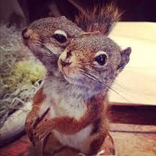 Ghost Hunting Theories: Two-Headed Creatures!