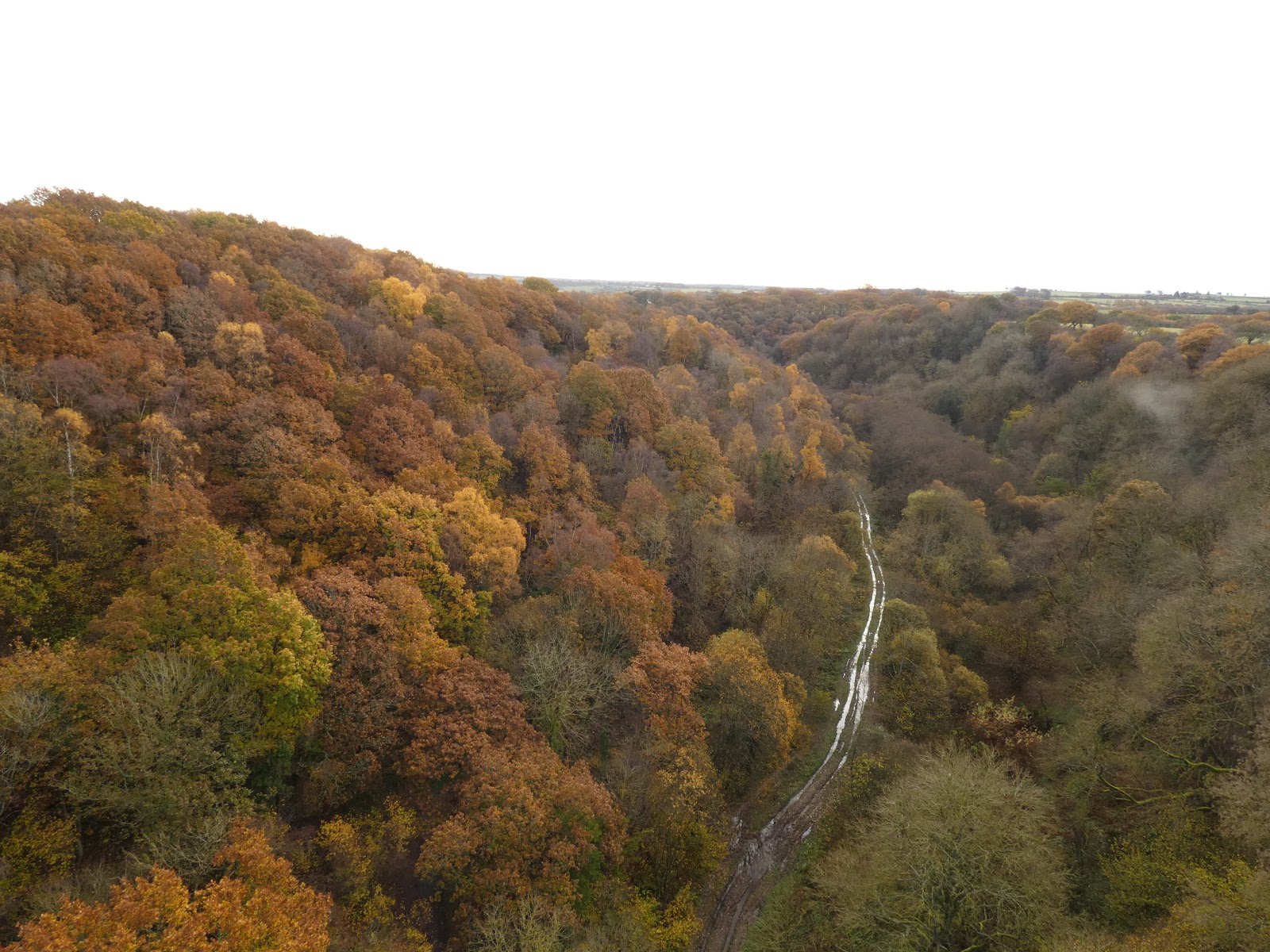 Boz North's Trail - Walking Blog: Waskerley Way - Hownsgill Farm to ...