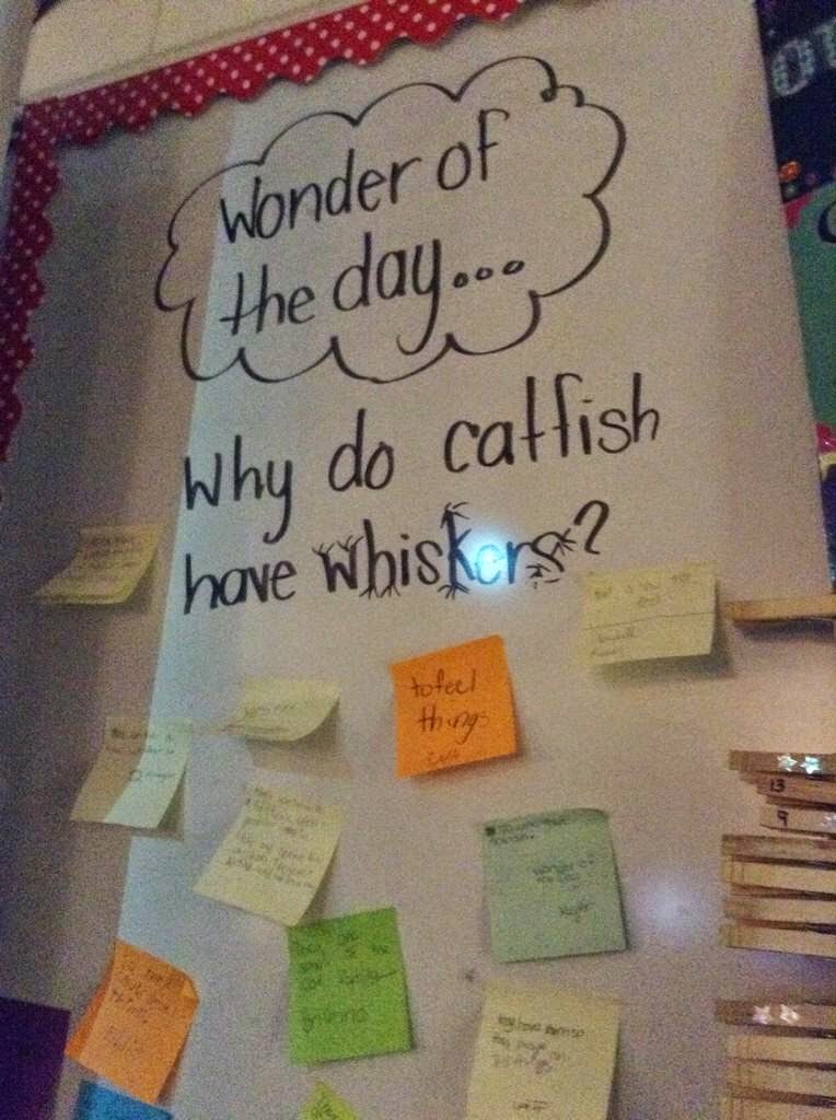 Mrs. Gault's Class : Wonderopolis in the Classroom