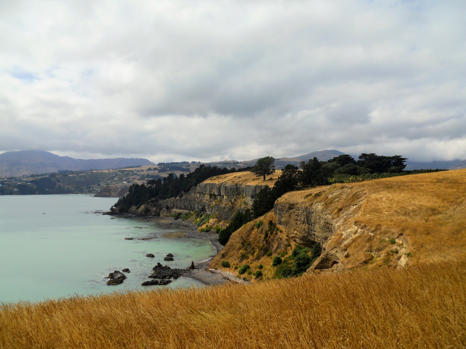 Tramping in the New Zealand backcountry: NZ Bush Adventures: Daytrip to ...