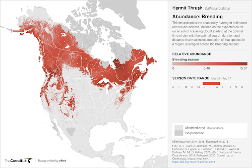 Hermit Thrushes and the Breeding Bird Atlas in Connecticut