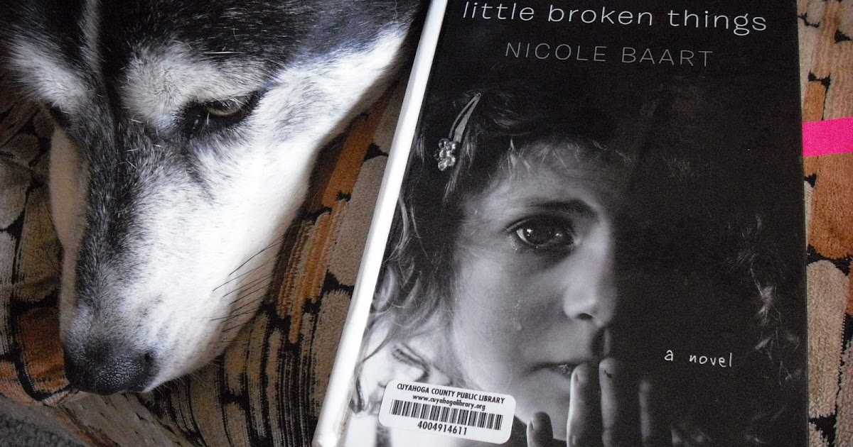 Grab A Book From Our Stack: "Little Broken Things" by Nicole Baart
