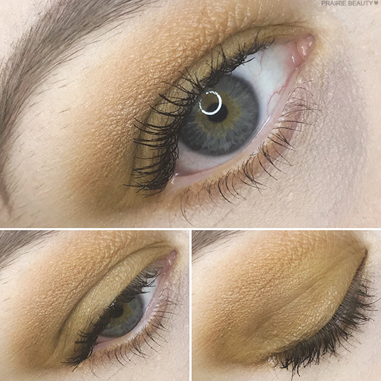 REVIEW: Rude Cosmetics Book 5 35 Pan Eyeshadow Palette - Prairie Beauty