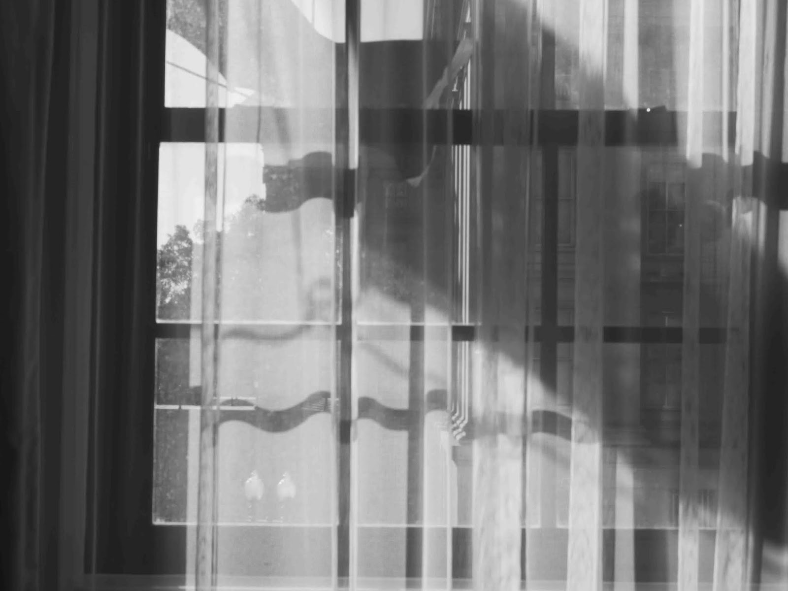 Impulse to Action: 2019