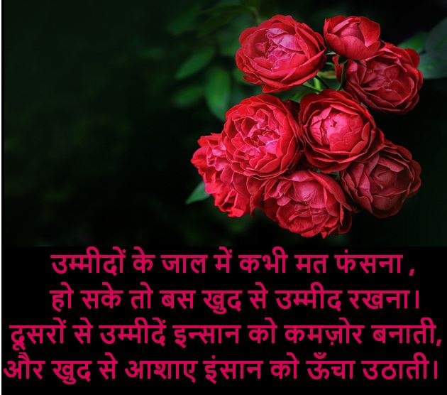15 Latest Shayari Collection [ एकदम नयी ] | Latest Shayari in Hindi ...