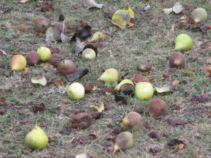 Journeys of heart and mind: October 2011