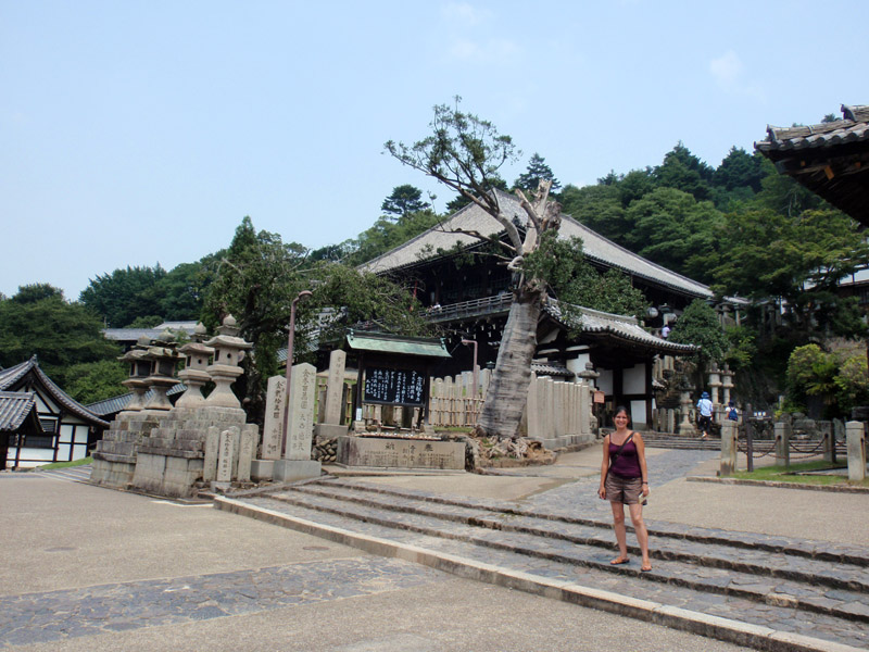 Los viajes de David y Neus: JAPÓN 12: Nara y Osaka I