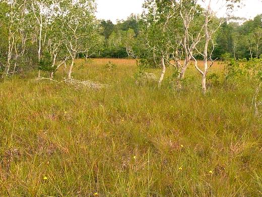 Prairies Of North America And Where Are They Located