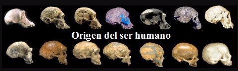 ¿Cuál es el origen del ser humano y cómo llegó a poblar la Tierra? - Te ...