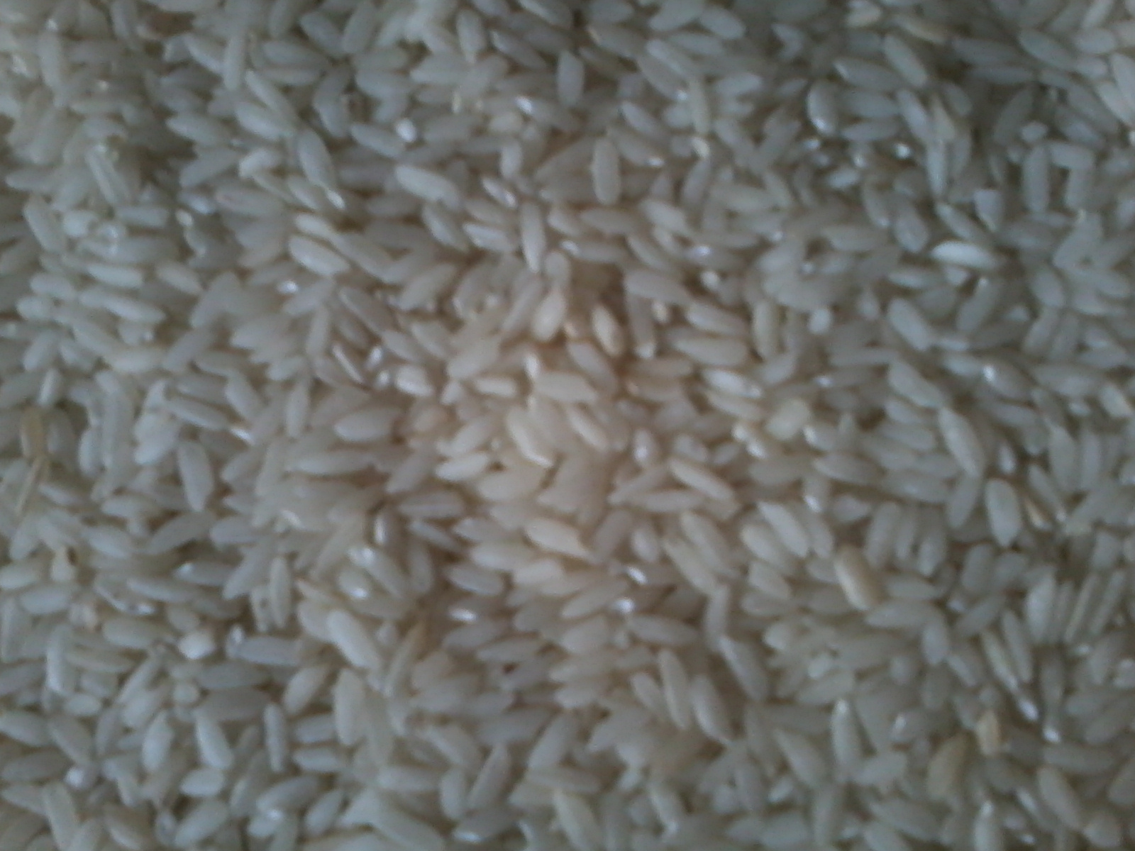 Rice recipes of Assamese cuisine