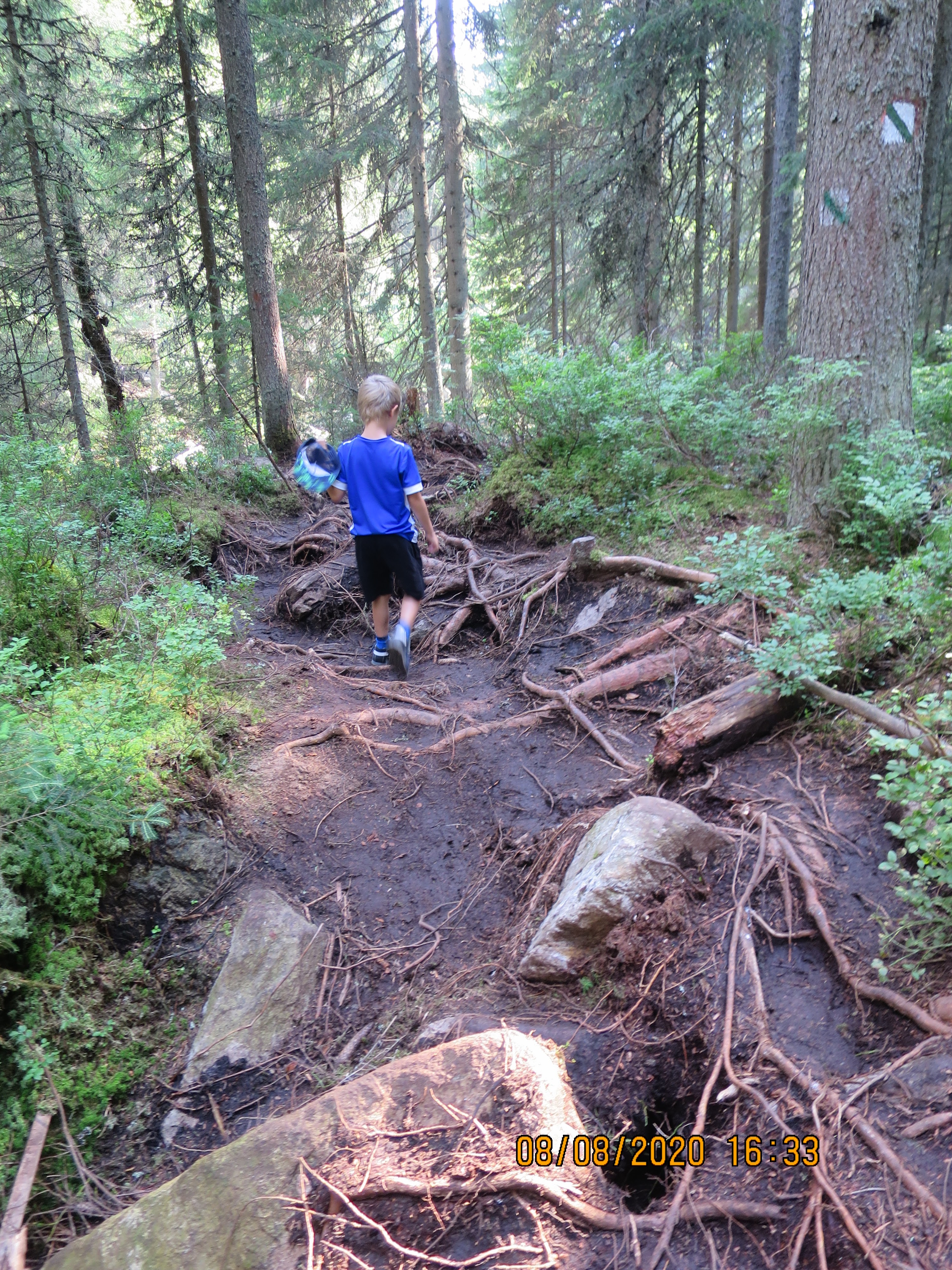 MODRAVA - HRADLOVÝ MOST (RECHLE) - MODRAVA